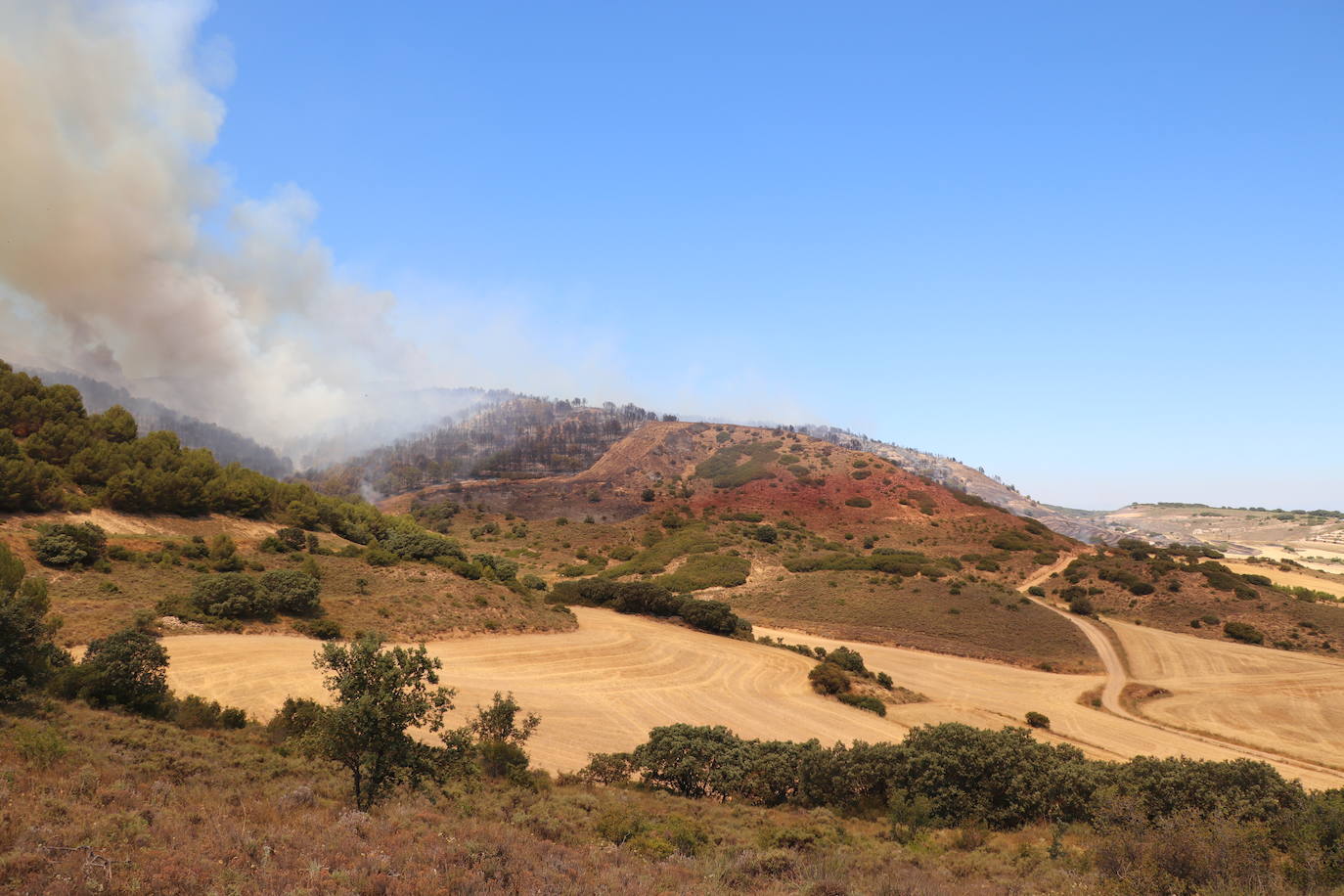 Fotos: Incendio en el monte Yerga en Alfaro y Grávalos | La Rioja
