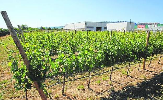 La transformación del campus de la UR en 15 hitos | La Rioja